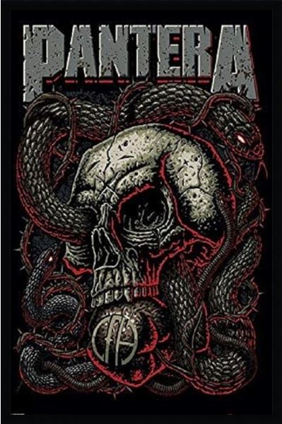 Pantera Rocker Skull – Poster Shoppe